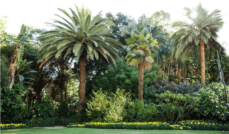 Wanneroo Botanic Gardens | Mini Golf and Glow Golf